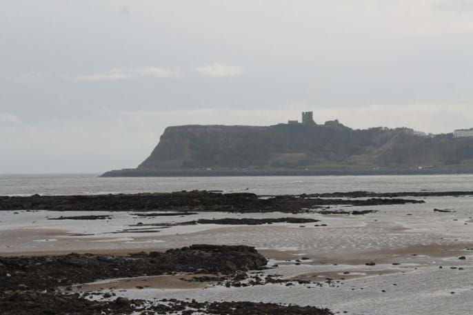 Photos - Blue Dolphin Filey