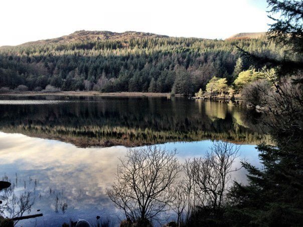 Mountain Biking - Beddgelert House
