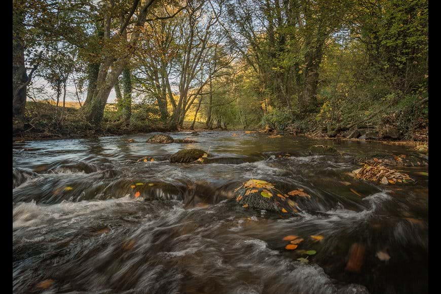 Photos - The Signal Box