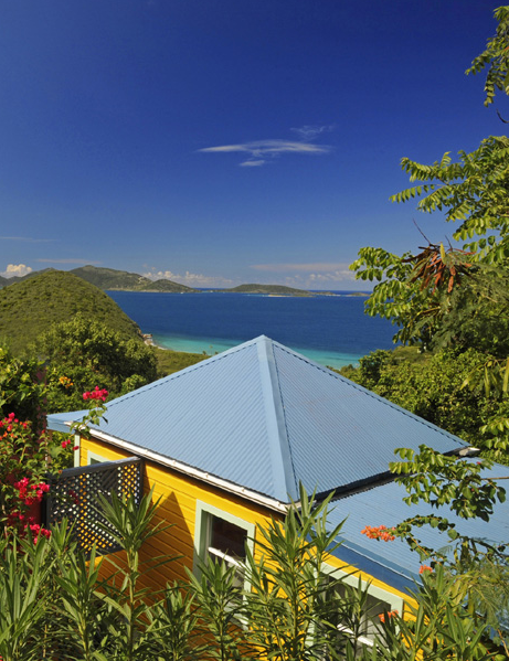 Limeberry Villa | Belmont Estate -Tortola | 4 BR | Ocean views