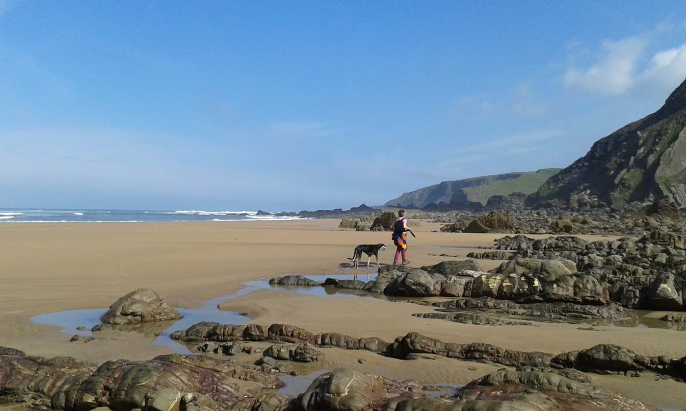 Photos - Sea Coombe Holiday Lodge