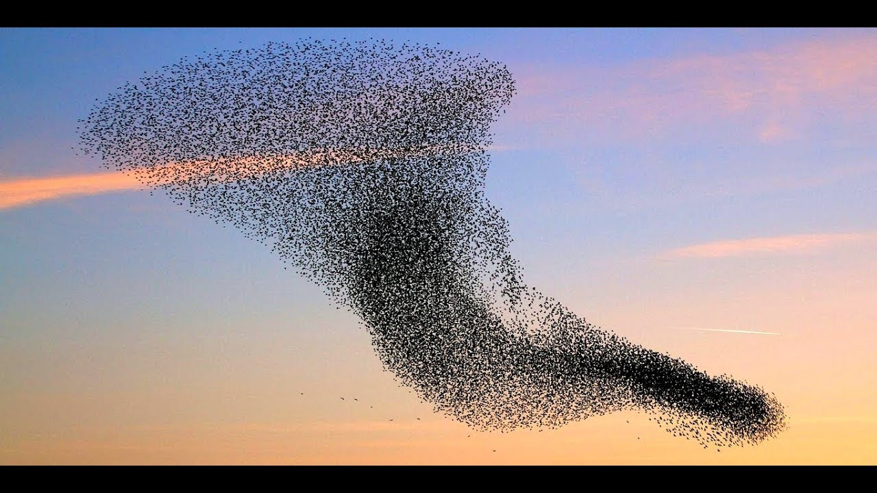 The environment - Gallery Cottages