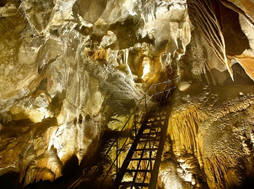 Visit the Jenolan Caves - Careel Cottages