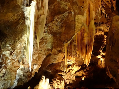 Visit the Jenolan Caves - Careel Cottages