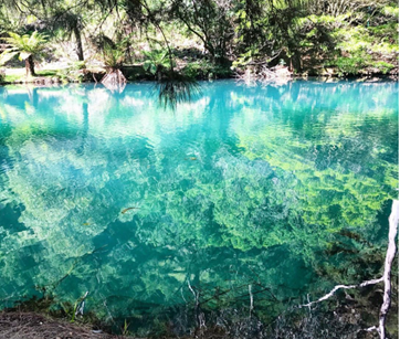 Visit the Jenolan Caves - Careel Cottages
