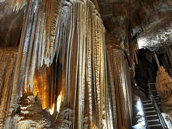 Visit the Jenolan Caves - Careel Cottages