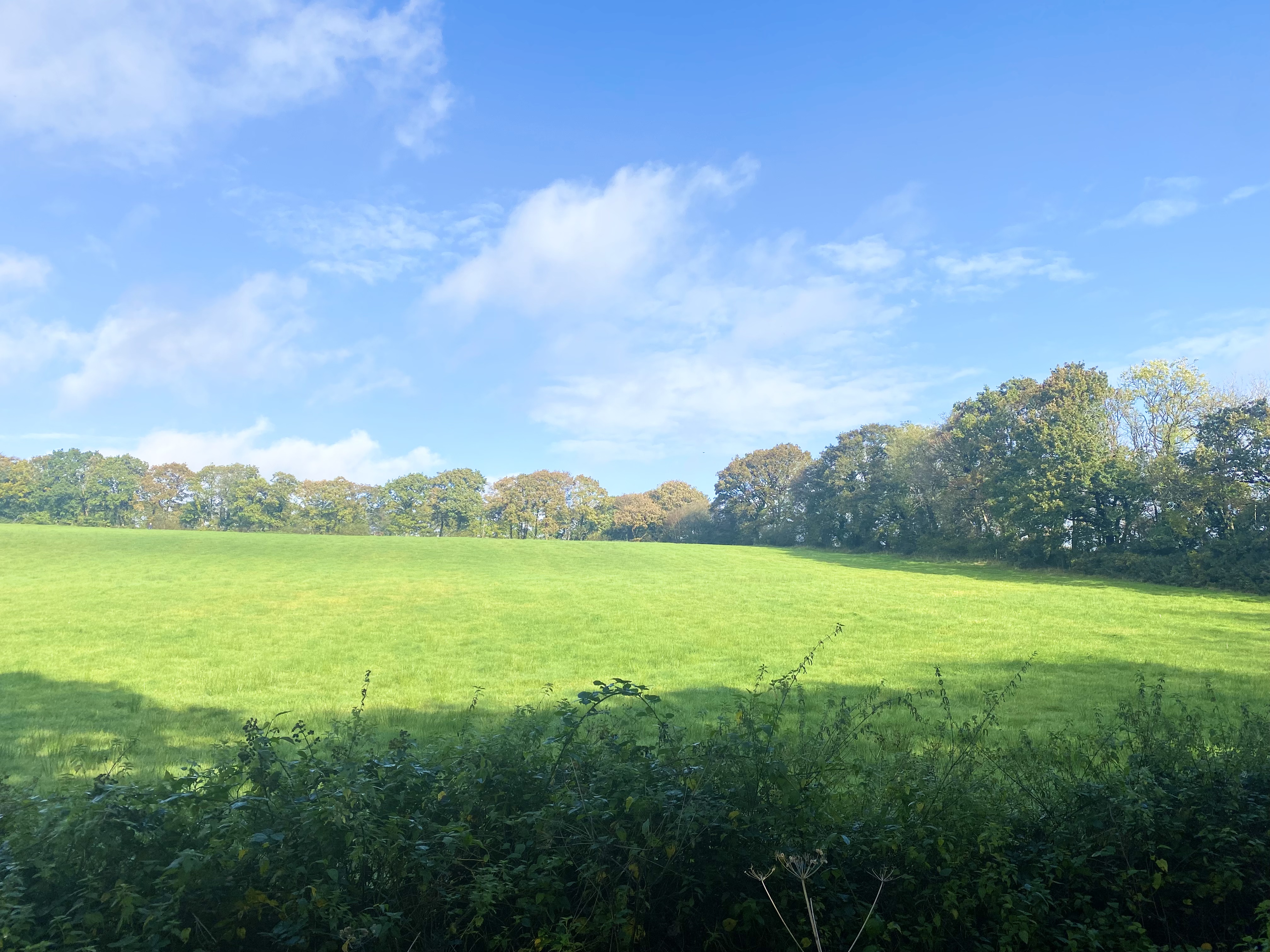 Photos - The Devon Bolthole