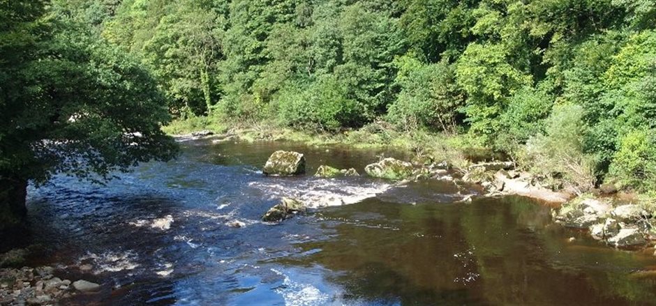 Luxury Log Cabins with hot tub on riverside location - Liddel Water ...