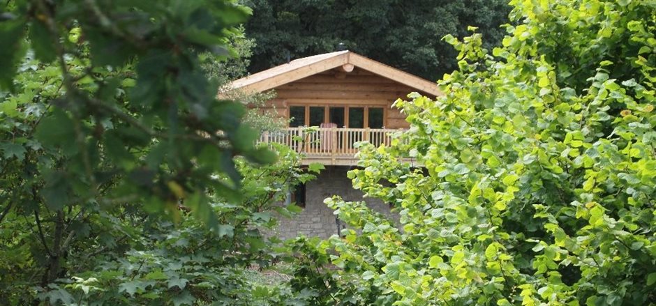 Luxury Log Cabins with hot tub on riverside location - Liddel Water ...